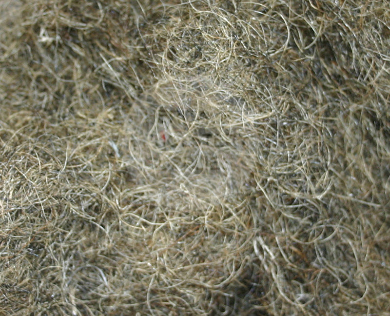 Animal Hair | Traditional Stuffing for Chairs and Sofas – Heritage ...